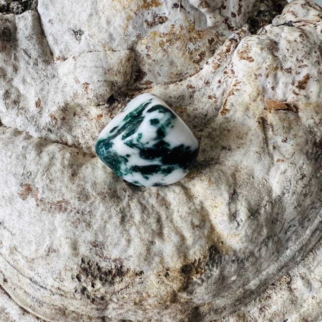 AGATE ARBRE de Madagascar - La Porte des Secrets