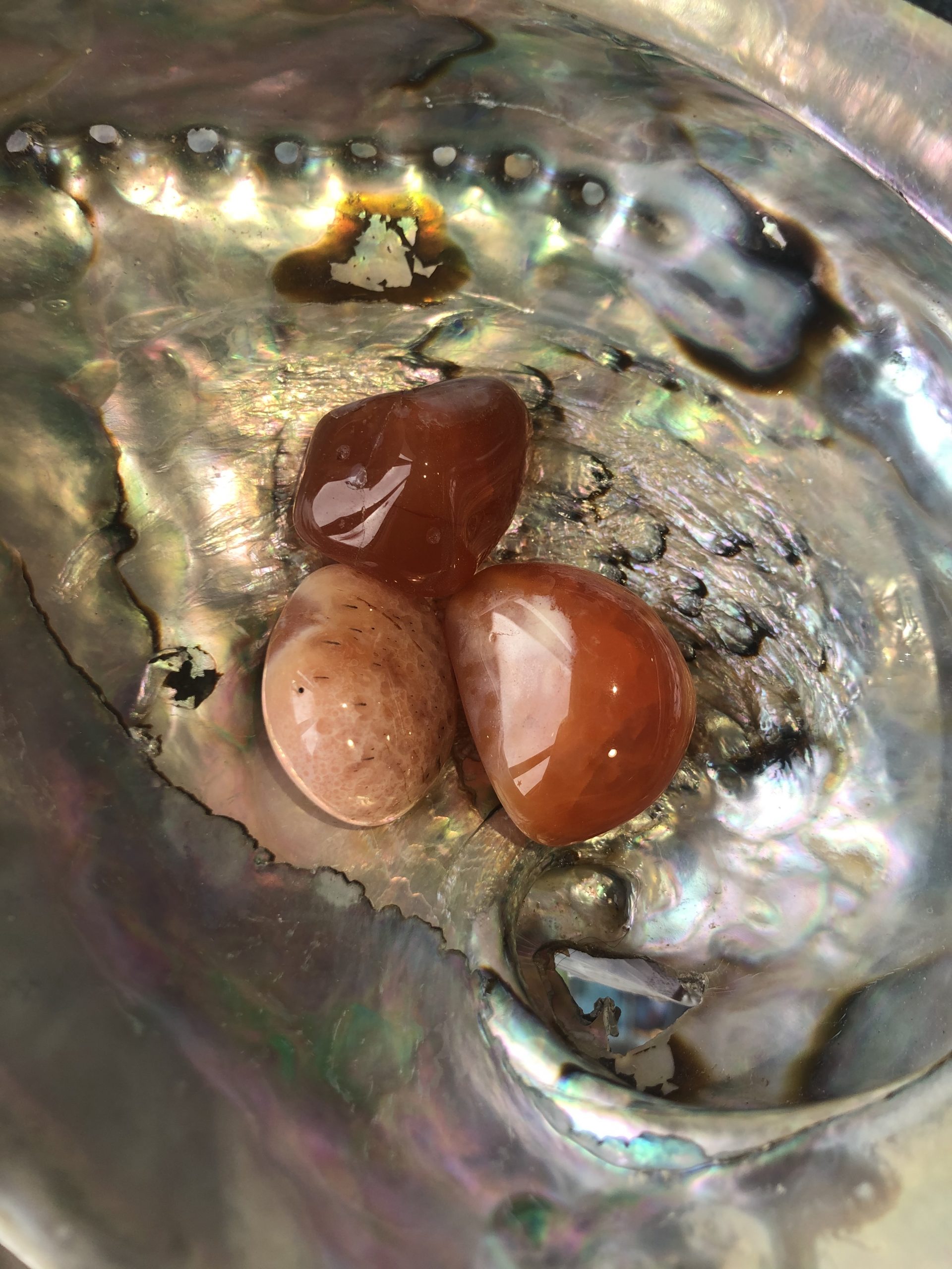 Sardoine A- MI7.sardoine - La Porte des Secrets