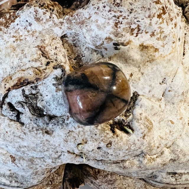 Andalousite ou Chiastolite Bretagne (France) - pierre roulée - La Porte ...