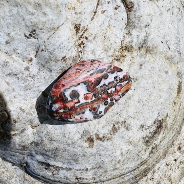 JASPE LEOPARD Afrique du Sud - La Porte des Secrets