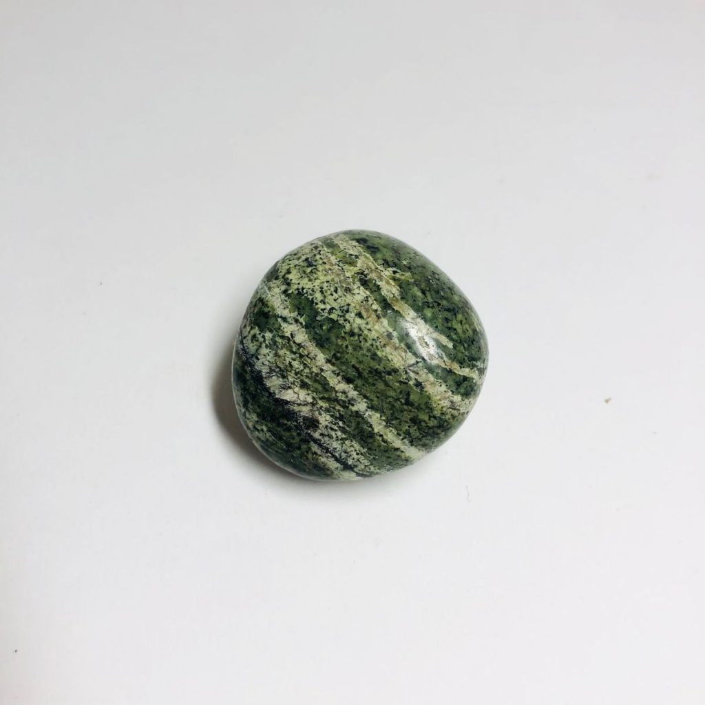 SERPENTINE verte rayée du Brésil - La Porte des Secrets