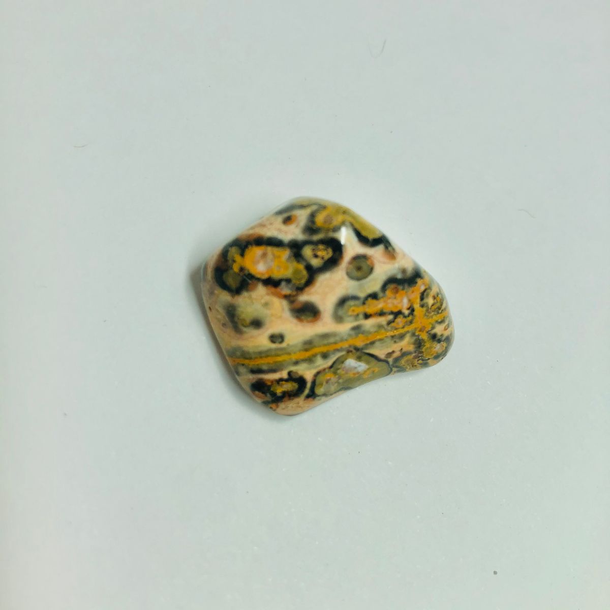 JASPE LEOPARD Afrique du Sud - La Porte des Secrets