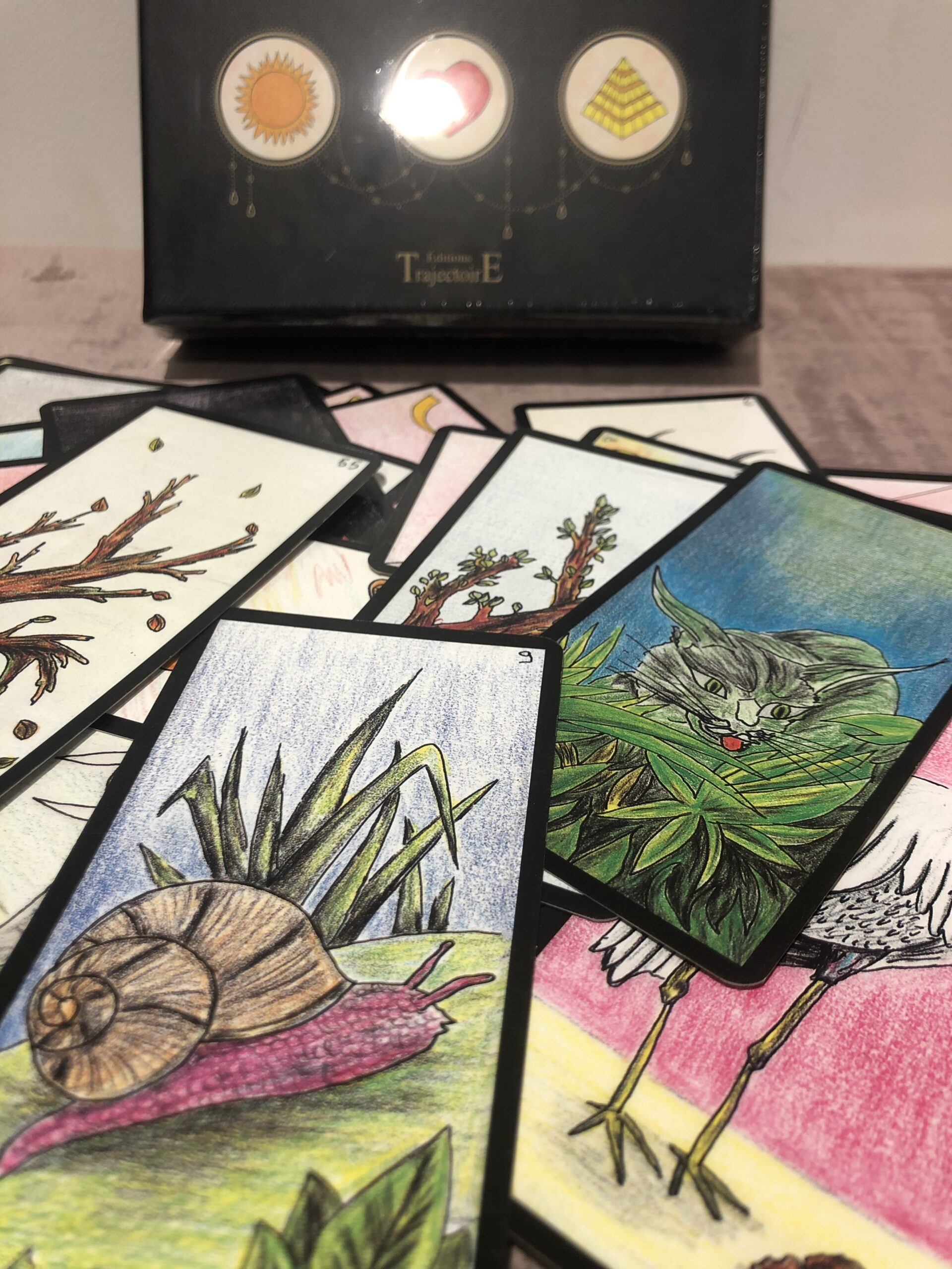 ZOOM sur les Tarots & les Oracles - La Porte des Secrets