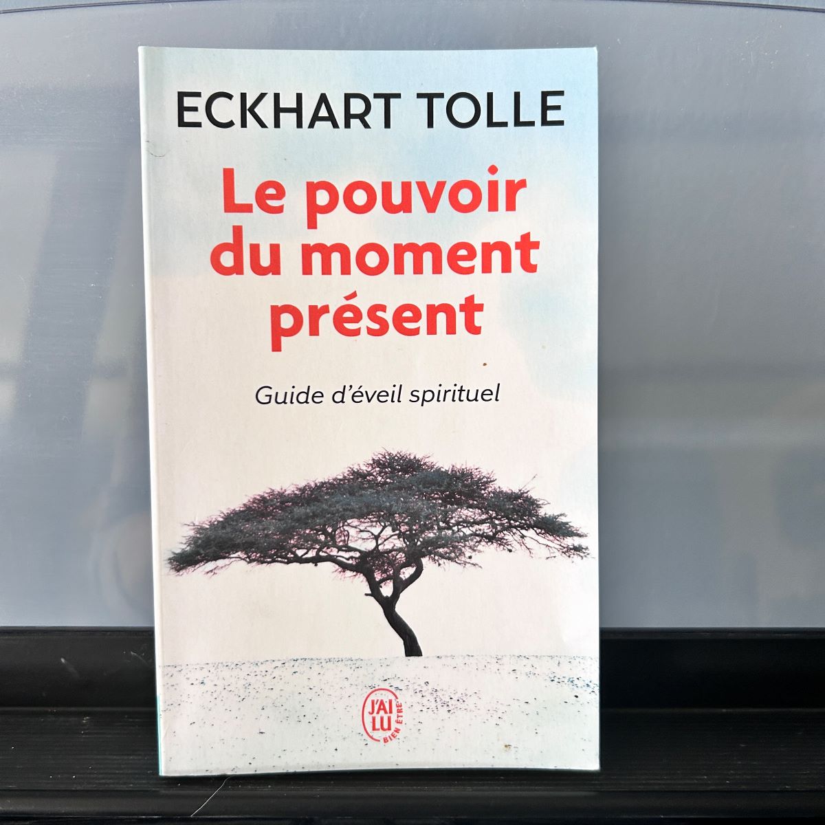 Le pouvoir du moment présent - guide d'éveil spirituel - La Porte des ...