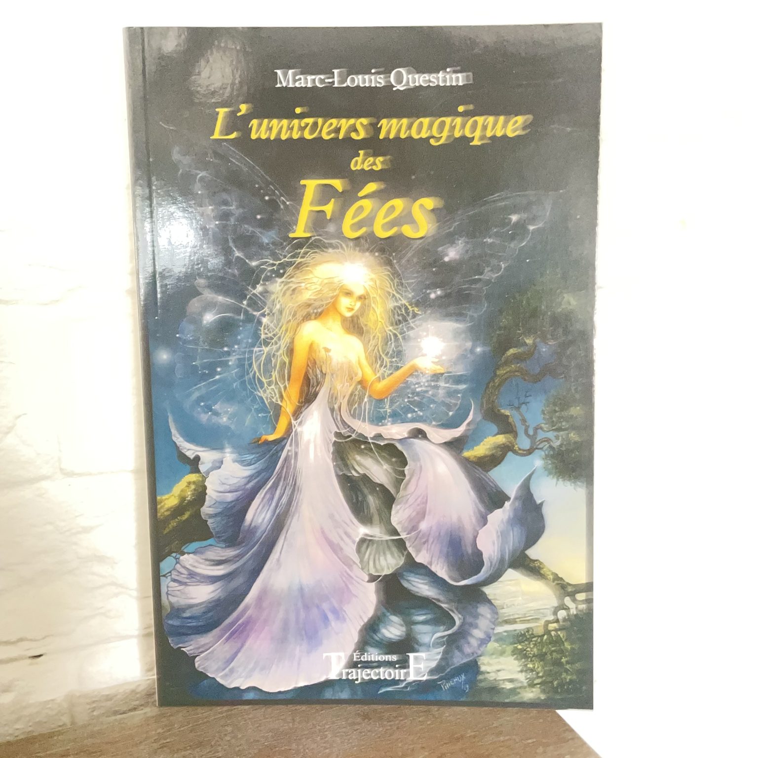 L'univers magique des Fées - La Porte des Secrets
