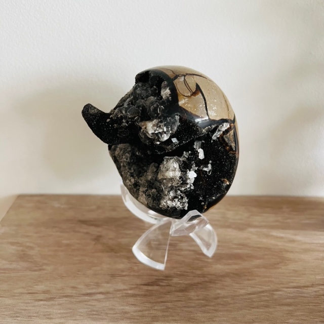 Septaria forme libre brute-polie - Madagascar - La Porte des Secrets