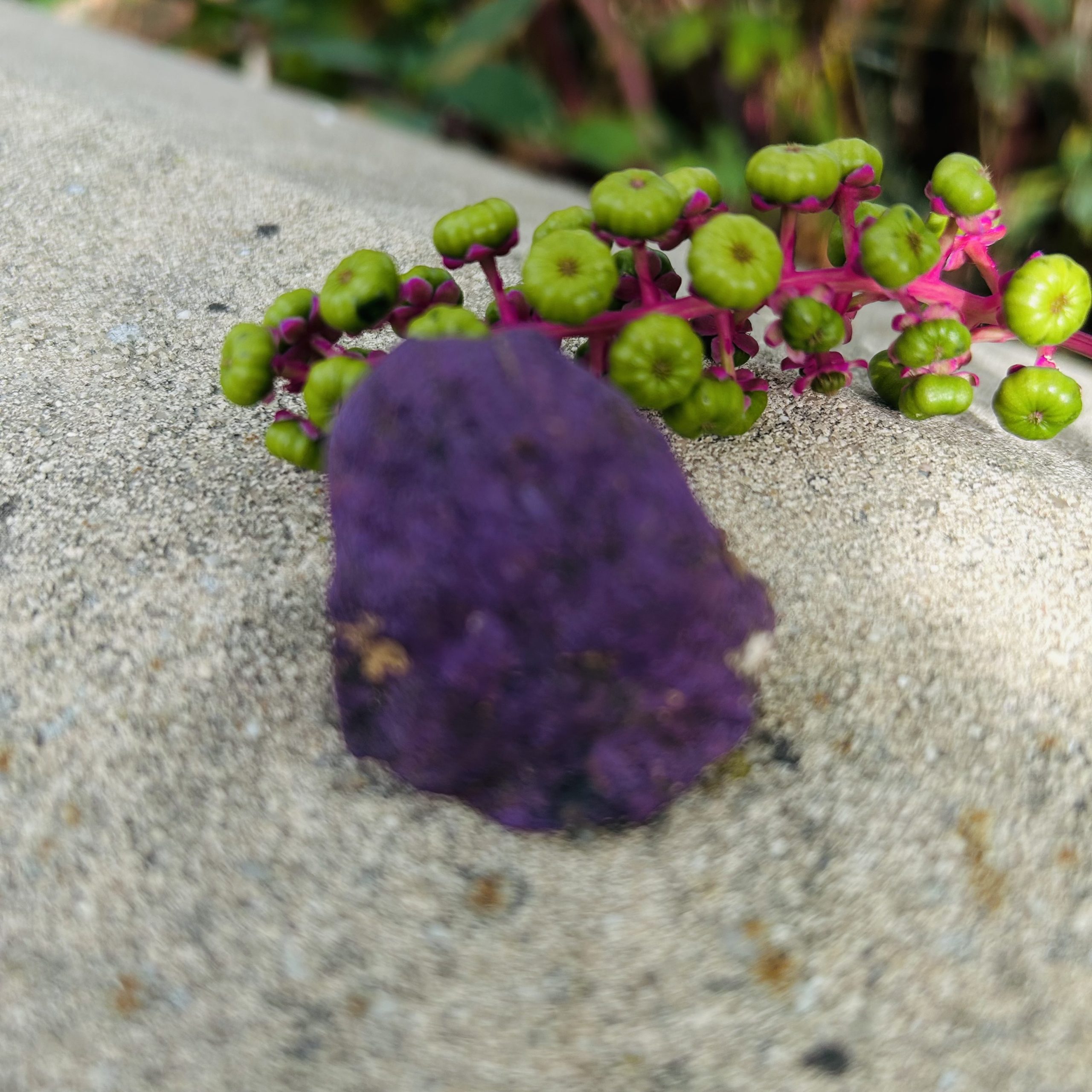 PURPURITE de Namibie - La Porte des Secrets